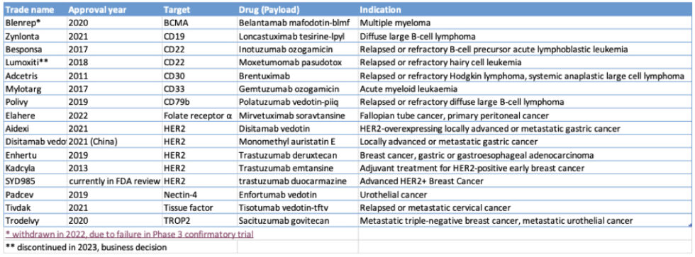 Promises and problems with ADCs