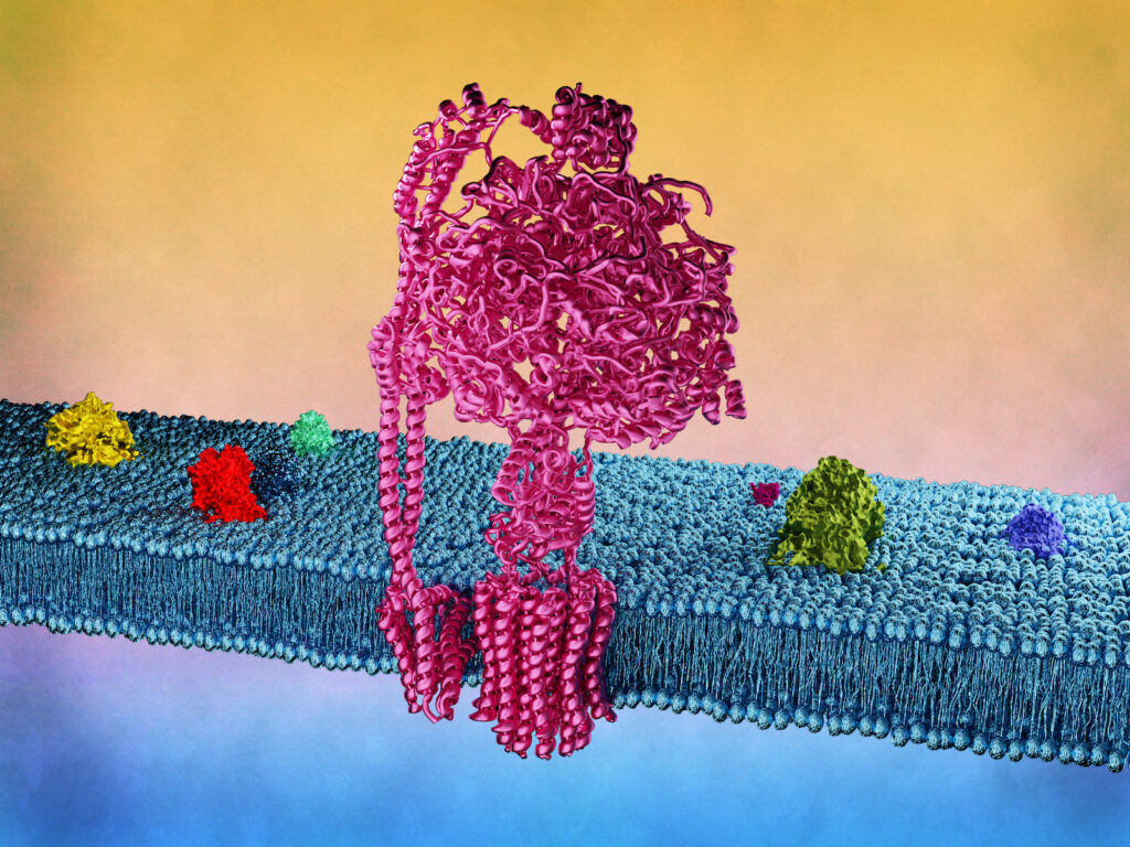 Visualizing ATP in a Cell - Tempo Bioscience