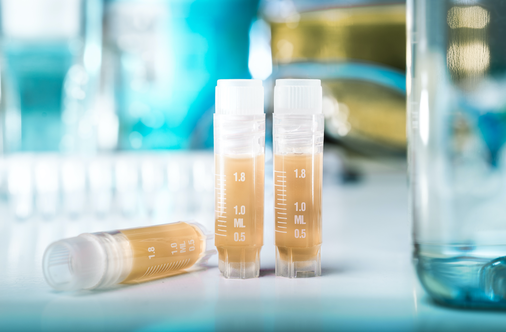 In Vitro Models for the Blood Brain Barrier