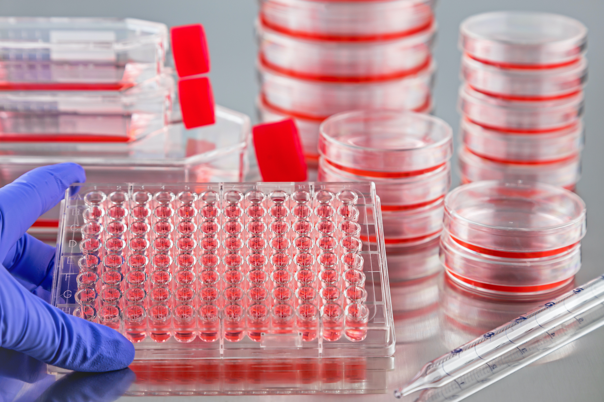 2D vs 3D Cell Culture: Choosing the Right Model - by Tempo Bioscience
