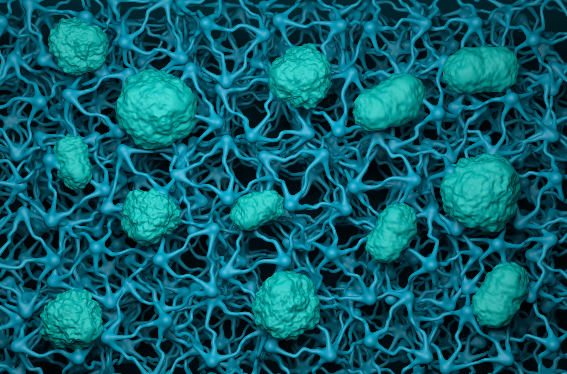 Matrigel vs. Geltrex Matrices: what's the difference? - Tempo Bioscience