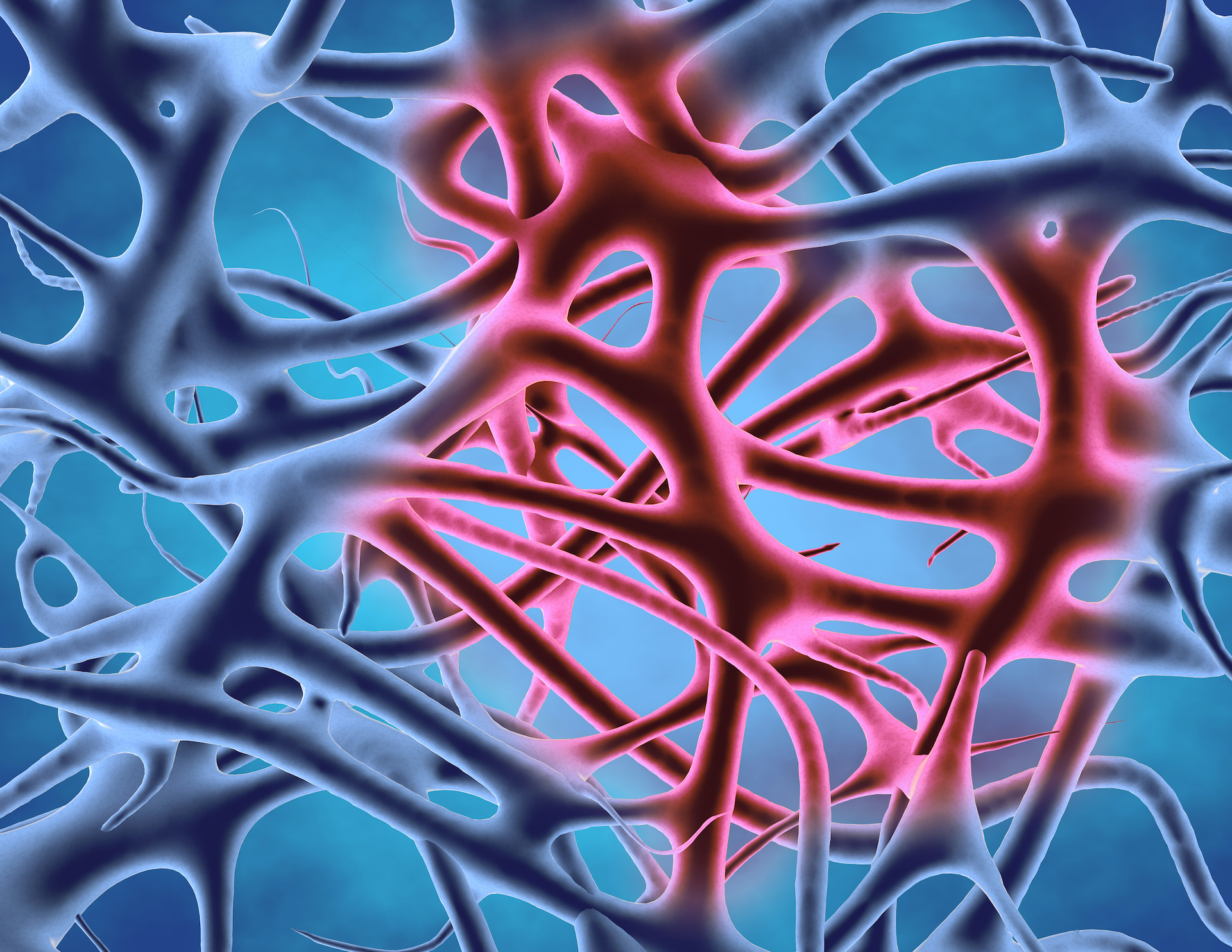 Blood Brain Barrier and Inflammatory Cell Types in the Human CNS