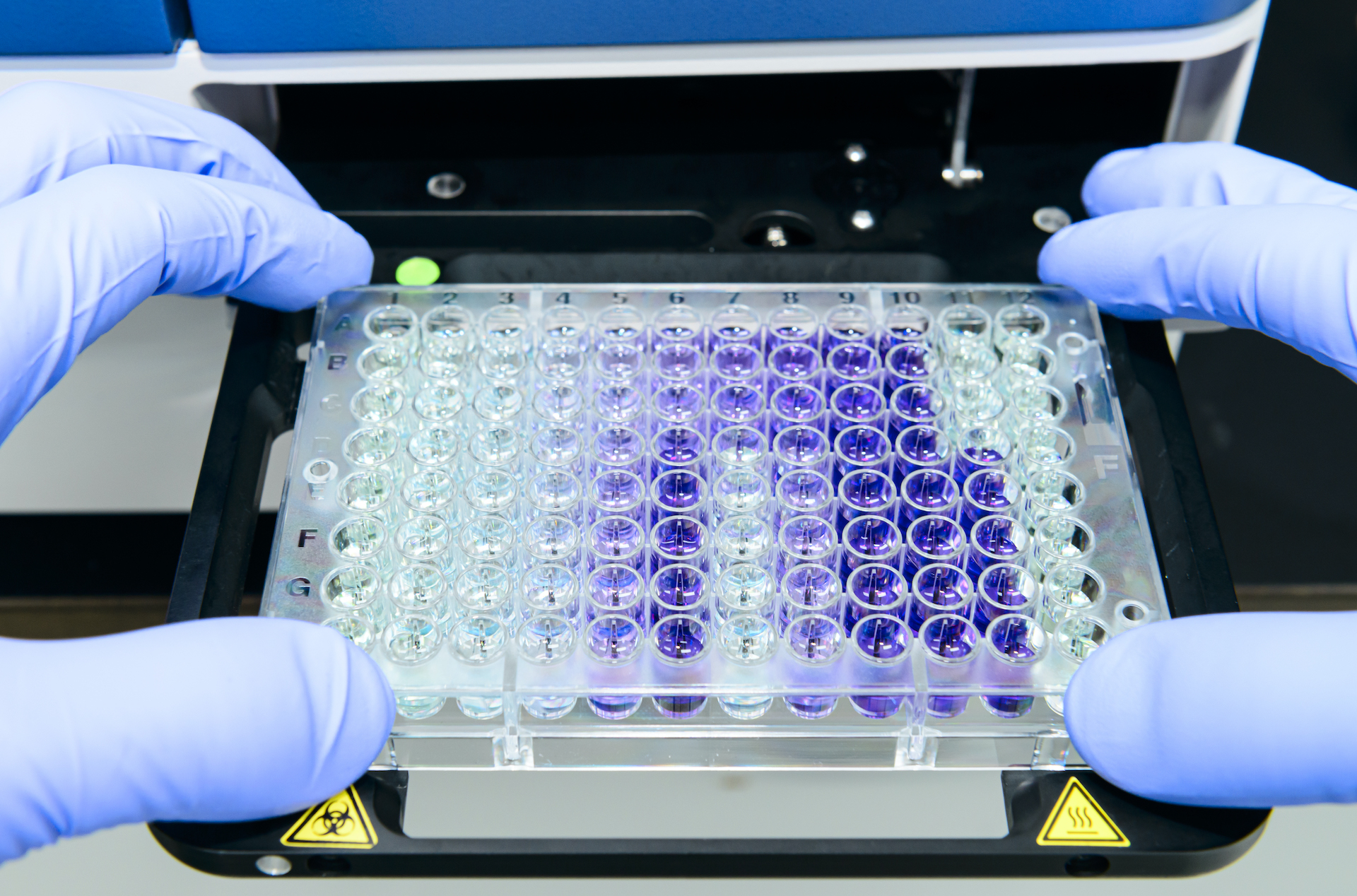 The Challenges In Small Molecule Drug Development – Part I - Tempo ...