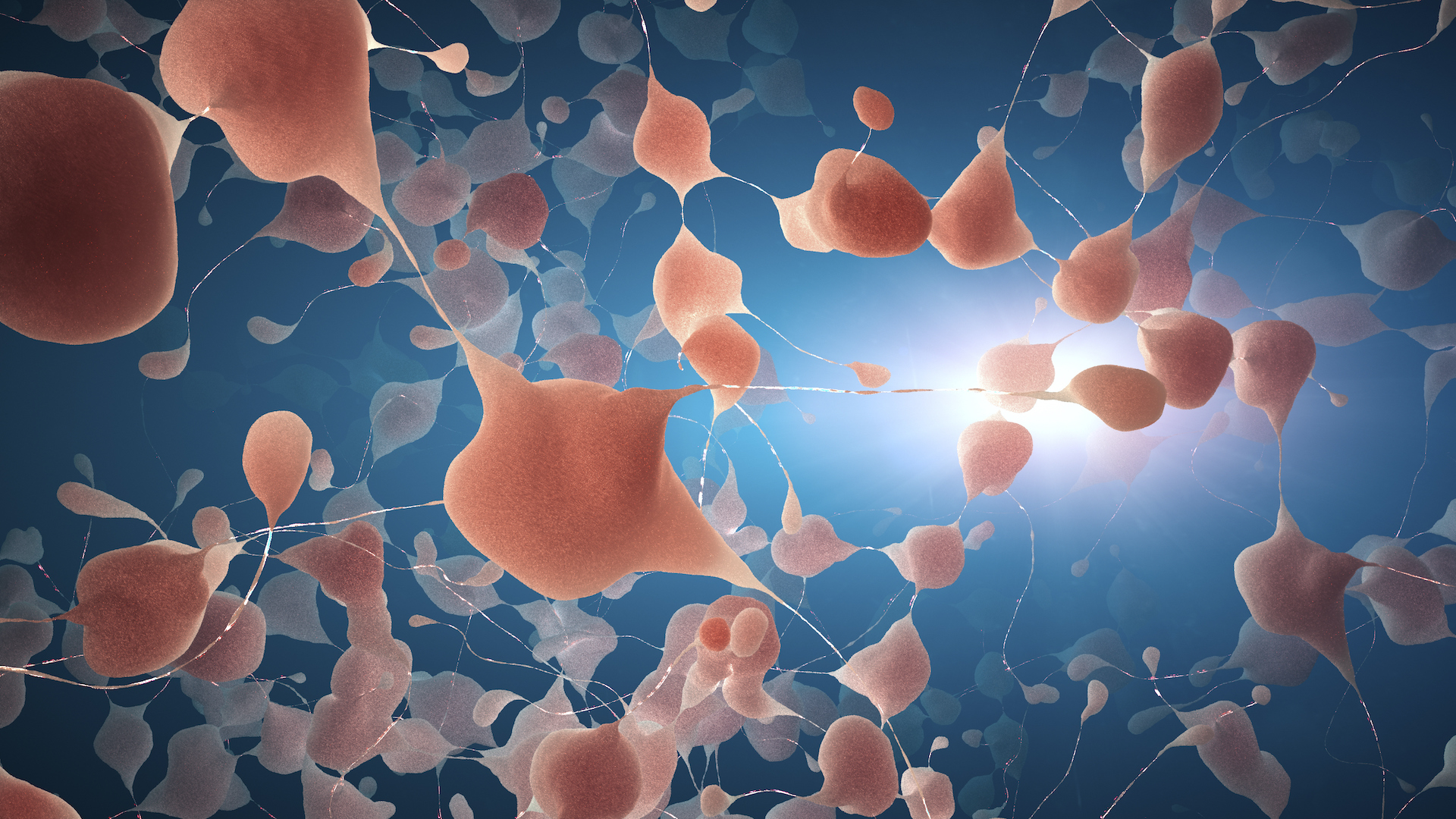 The Pinky and the Brain: A Summary of EAE Mice as Models of Multiple ...