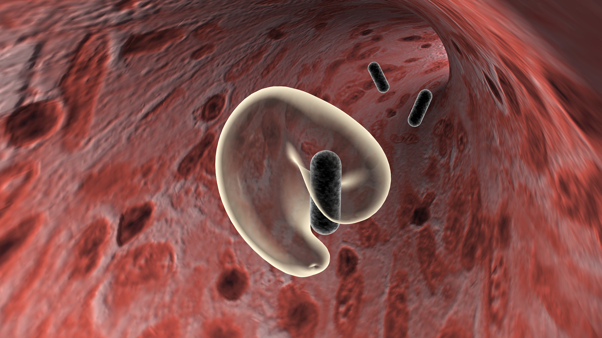 The Many Faces of Phagocytes - Tempo Bioscience