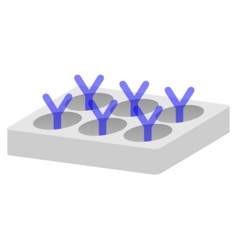 iPSC derived cell based assays by Tempo Bioscience